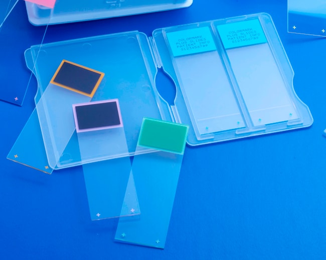 Fisherbrand™ Colormark™ Plus Adhesion Slides | Fisher Scientific
