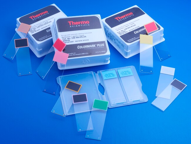 Fisherbrand™ Colormark™ Plus Adhesion Slides | Fisher Scientific