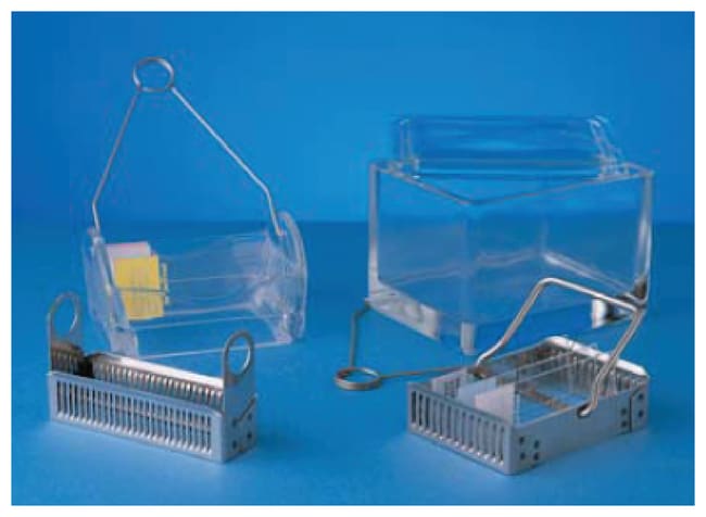 Thermo Scientific RA Lamb Staining Troughs and Racks:Racks:Special ...