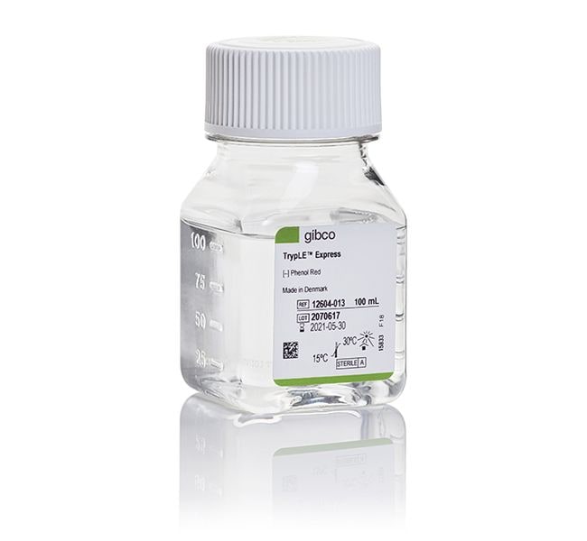Gibco™ TrypLE™ Express Enzyme (1X), no phenol red | Fisher Scientific
