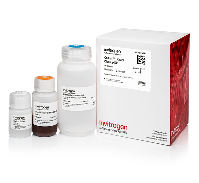 Thermo Scientific Invitrogen Collibri Stranded RNA Library Prep Kit ...