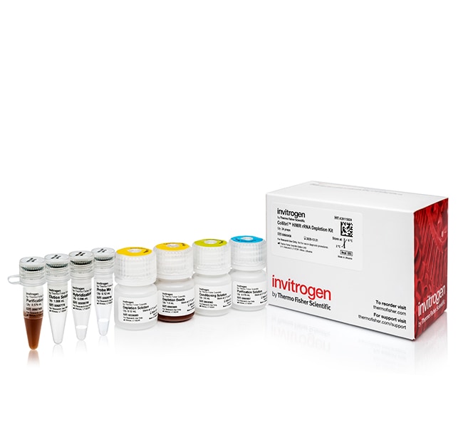 Thermo Scientific Invitrogen Collibri Stranded RNA Library Prep Kit ...