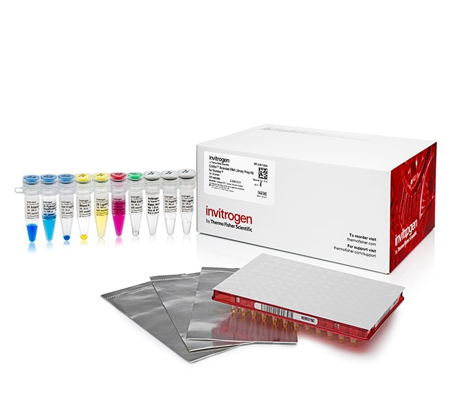 Thermo Scientific Invitrogen Collibri Stranded RNA Library Prep Kit ...