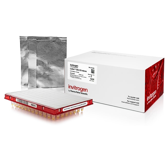 Thermo Scientific Invitrogen Collibri Stranded RNA Library Prep Kit RNA ...