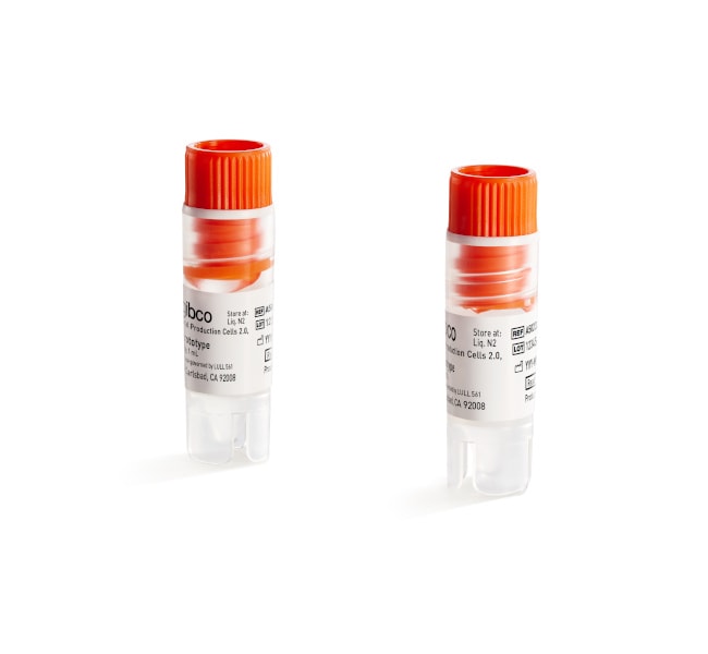 Gibco™ Viral Production Cells 2.0, prototype 1 vial | Fisher Scientific