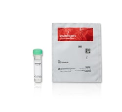Molecular Probes pHrodo Green STP Ester 500 μg | Buy Online | Molecular ...