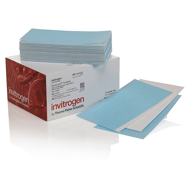 Invitrogen SureLock Tandem Midi Pre-cut Membranes and Filters, 0.2 m ...
