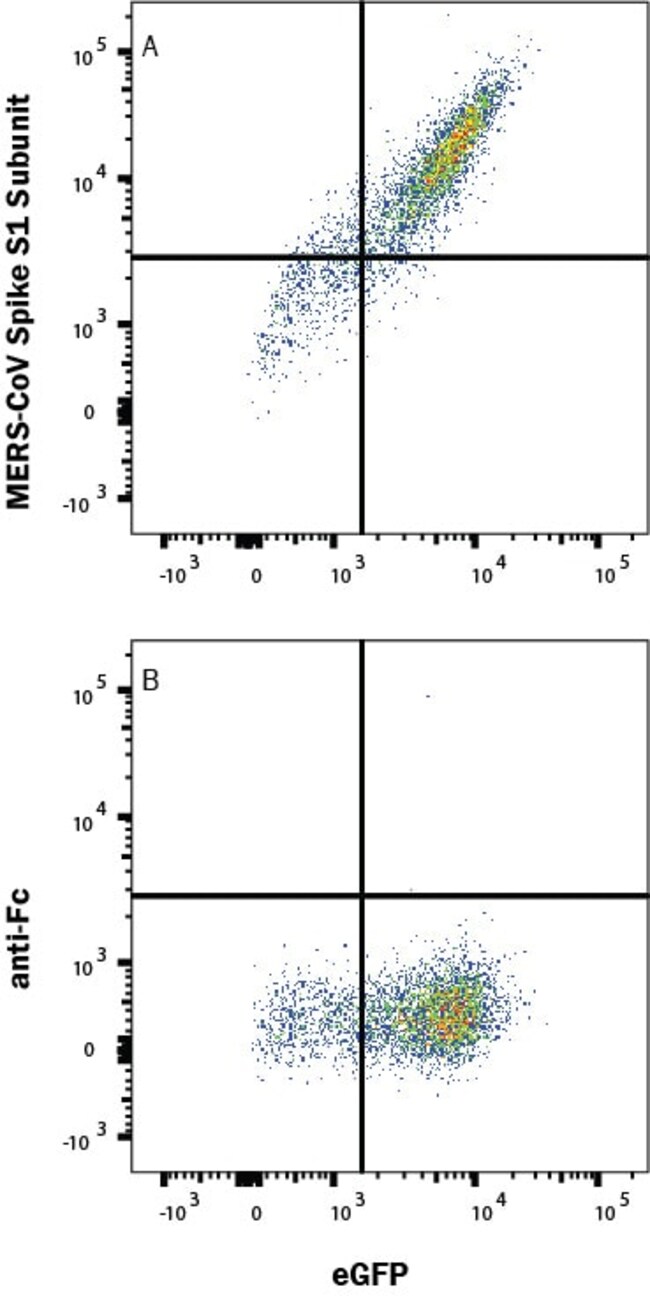 R D Systems Recombinant Mers Cov Spike S1 Subunit Fc Chimera Protein