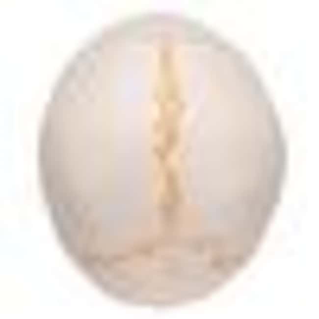 3B Scientific Classic Human Skull Model with Opened Lower Jaw Skull ...