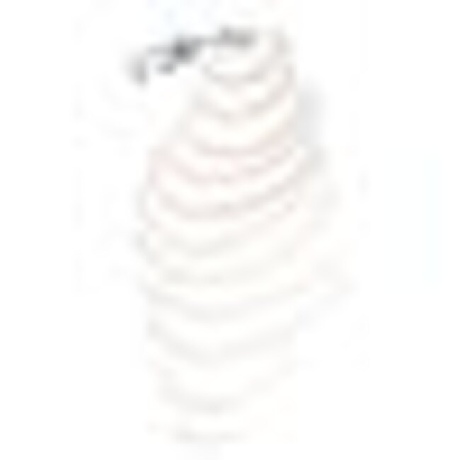 3B Scientific Human Ribs Model Human Ribs Model; Includes: 12 Ribs of ...