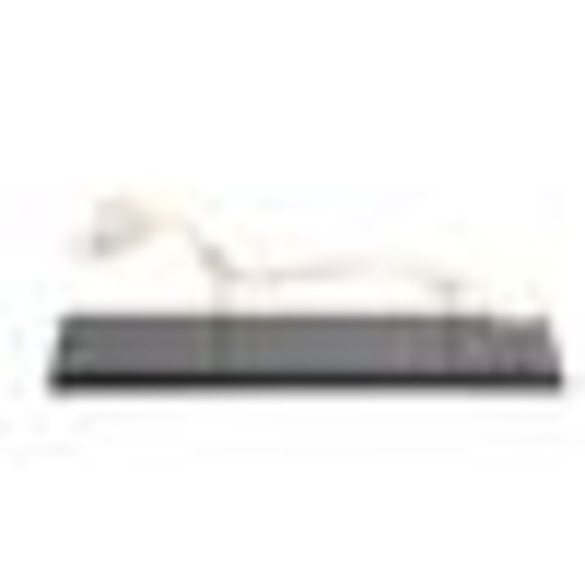 3B Scientific Dog (Canis lupus familiaris) Spinal Column and Head Dog ...