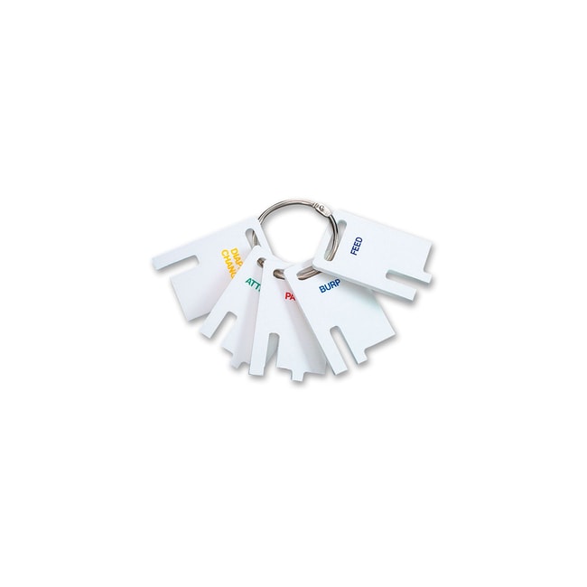 3B Scientific Ready-or-Not Tot Teacher Keys Teacher Keys; For Use With ...