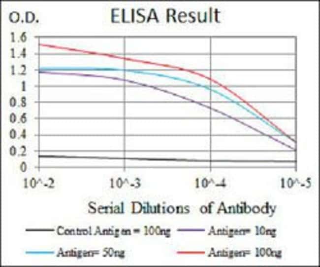 PTPN11 Mouse anti-Human, Clone:6D9, Abnova 100μg:Antibodies, Monoclonal ...
