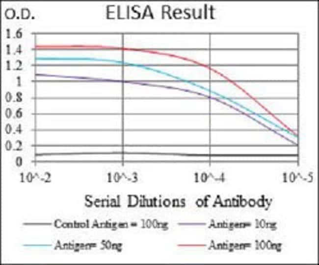 DCN Mouse anti-Human, Clone:5E8E7, Abnova 100µg | Fisher Scientific