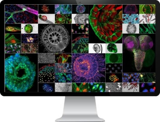 Agilent BioTek Cytation C10 Confocal Imaging Reader Includes: Widefield ...