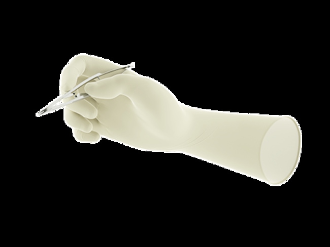 Ansell ENCORE Neoprene Surgical Gloves Neoprene Surgical Gloves; Size ...