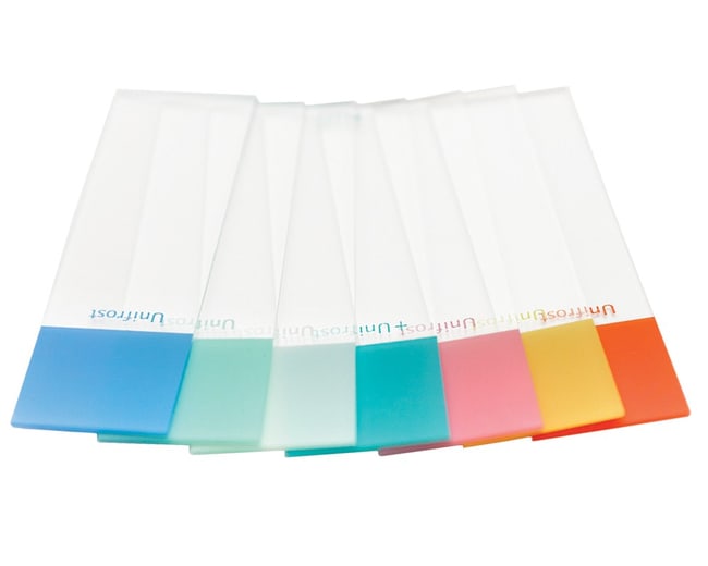 Azer Scientific EverMark Select Microscope Slides Glass slide; Yellow ...