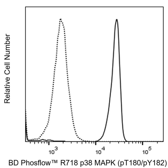 p38 MAPK (pT180/pY182) Mouse anti-Human, Mouse, Rat, R718, Clone: 36 ...