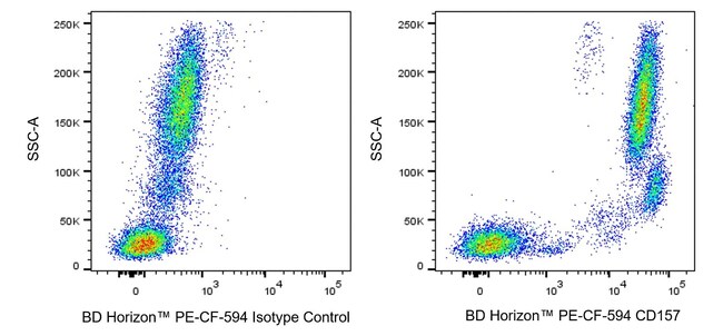 CD157 Mouse anti-Human, PE-CF594, Clone: SY/11B5, BD Horizon:Antibodies ...