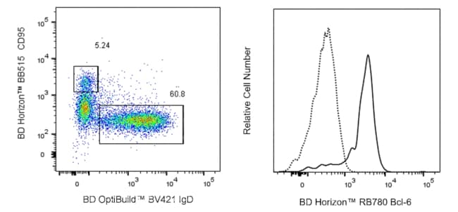 Bcl-6 Mouse anti-Human, Mouse, RB780, Clone: K112-91, BD Horizon ...
