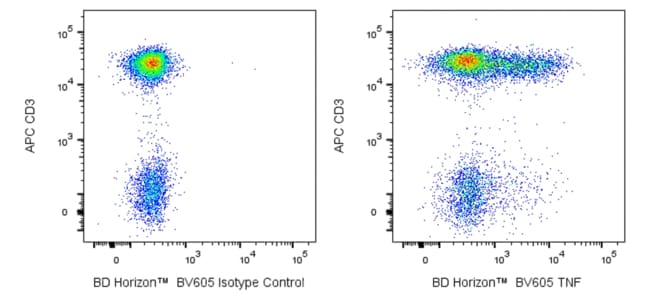 TNF Mouse anti-Human, BV605, Clone: MAb11, BD Horizon:Antibodies ...