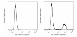 Active Caspase-3 Rabbit anti-Human, Mouse, PE, Clone: C92-605.rMAb, BD ...