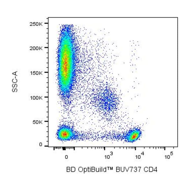 CD4 Mouse anti-Human, BUV737, Clone: RPA-T4, BD Biosciences 50 μg | Buy ...