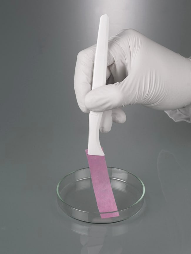 Buerkle White Disposable Forceps:Surgical Tools:Forceps and Tweezers ...