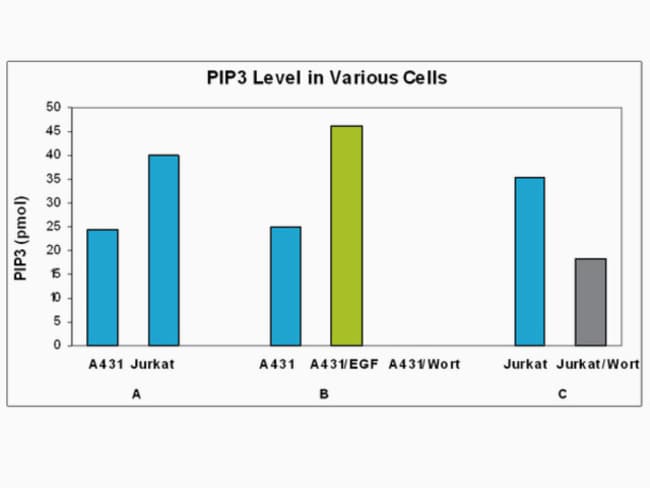 MilliporeSigma384-Well PI3 Kinase Homogenous Cell-Based Assay Kits 384 ...