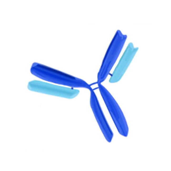 Normal Rabbit IgG, Alexa Fluor 488 conjugate Rabbit, AlexaFluor488 ...