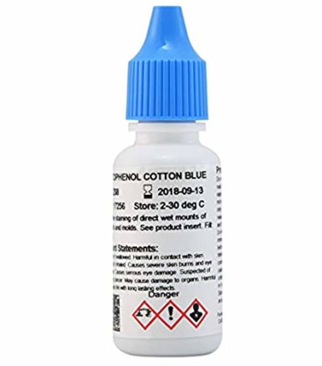 Eng Scientific Lactophenol Cotton Blue Stain, Certified | Fisher Scientific