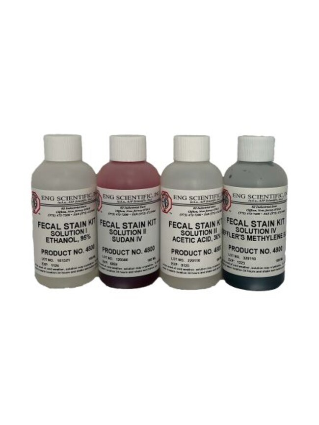 ENG Scientific Fecal Stain Kit:Biochemical Reagents:Staining Reagents | Fisher Scientific