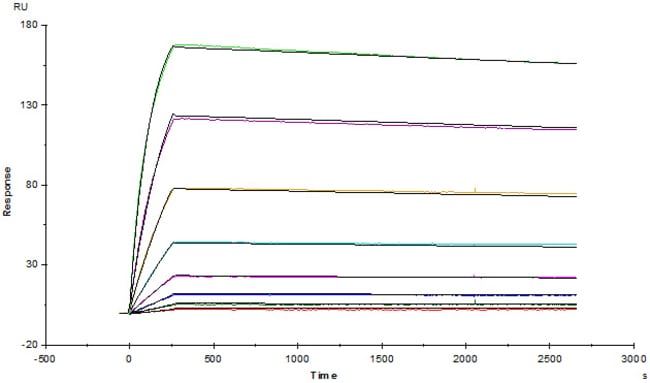 Bevacizumab Mouse, Unconjugated, Monoclonal Antibody, AcroBiosystems ...