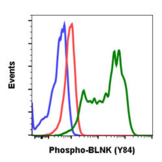 BLNK, Rabbit anti-Human, Clone: H4, Abnova 200μL; Unconjugated ...