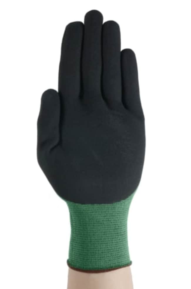 Ansell HyFlex 11-842 Multi-Purpose Gloves | Fisher Scientific