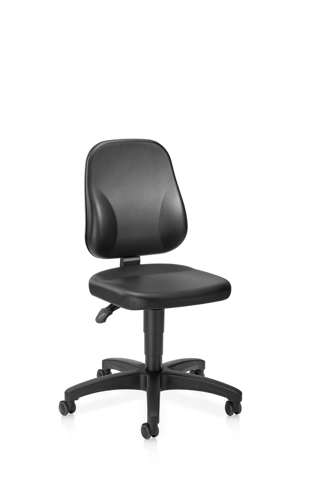 Fisherbrand Basic Comfort Low Lab Chair Type: Chair | Buy Online ...