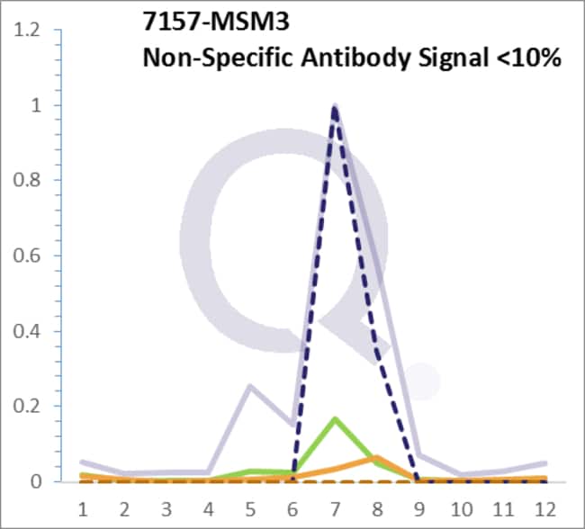 p53 Tumor Suppressor Protein Mouse, Clone: BP53-12 + DO-7, enQuireBio ...