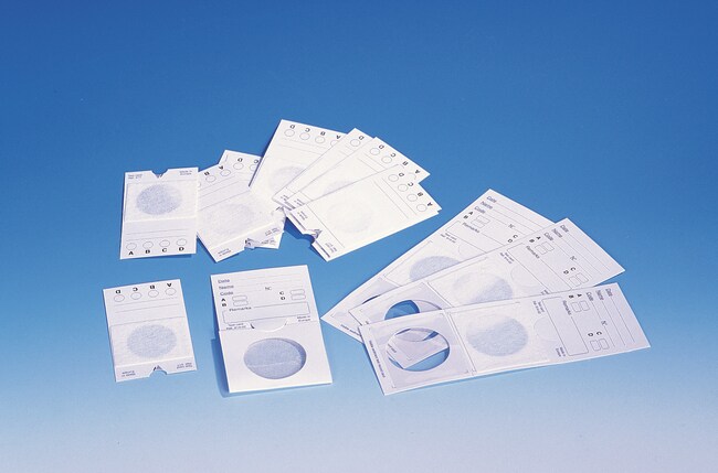 X500 CARTE-FILTER 917 80X45MM Fisherbrand Ver productos | Fisher Scientific