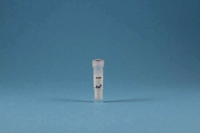 IBA Lifesciences Avidine Quantité : 50 mg Produits à base d’avidine ...