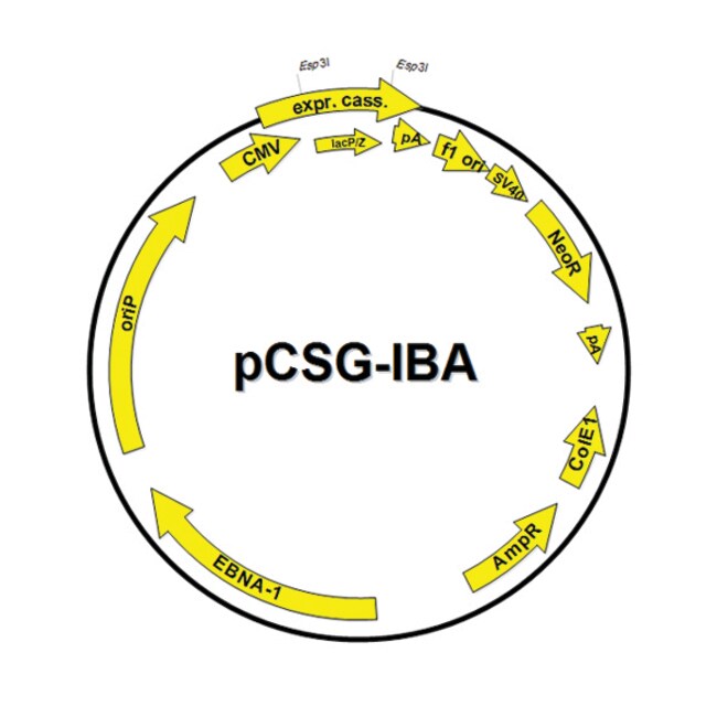 IBA Lifesciences pCSG-IBA Mammalian Expression Vector with No Secretion ...