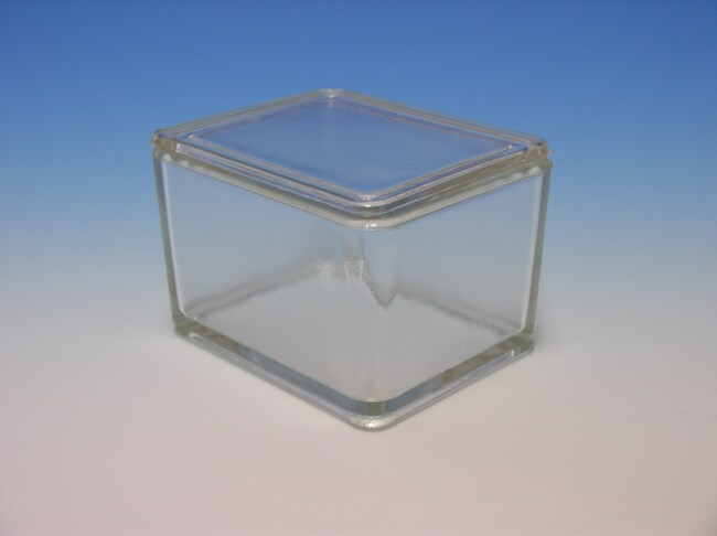 Hecht Karl™ Glass Staining Dish Dimensions (L x W x H): 105 x 85 x 70mm ...