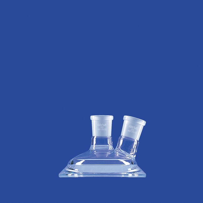 Lenz Laborglasinstrumente™ Flat Flange Lid with Center Neck and One ...