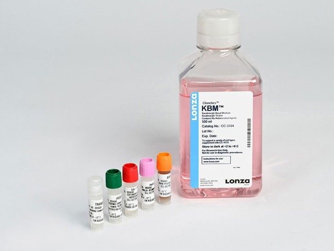 Lonza KGM Keratinocyte Medium BulletKit, Quantity: Varje | Fisher ...