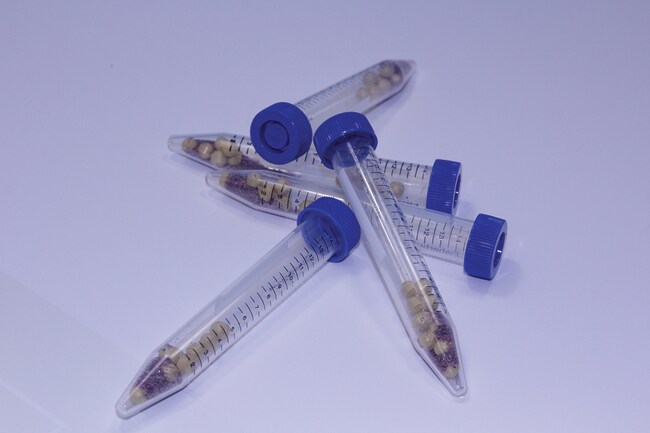 MP Biomedicals Lysing Matrix A, 15mL tubes Quantity: 5 x 15mL:Molecular ...