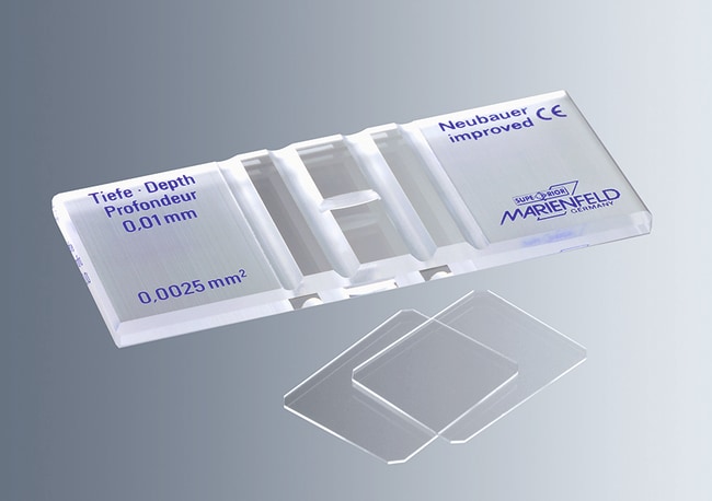 Marienfeld Superior Counting chambers Neubauer-improved, dark lines ...