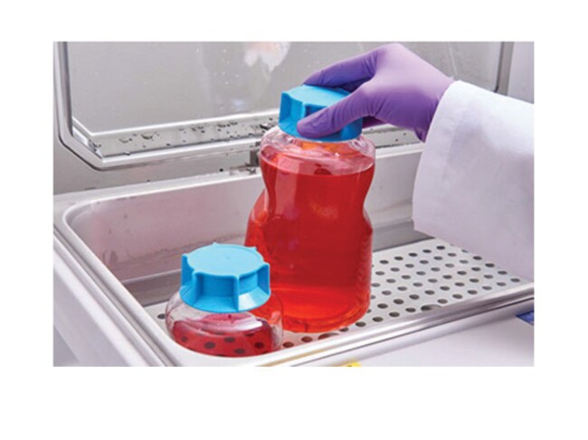 Merck Stericup™ Quick Release Bottle Top Receiver Flasks Capacidad ...