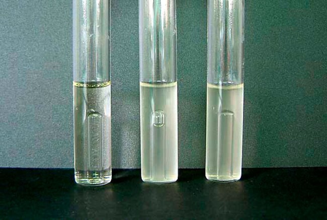 Scharlab Lactose Broth Lactose Broth; Form: Liquid | Fisher Scientific
