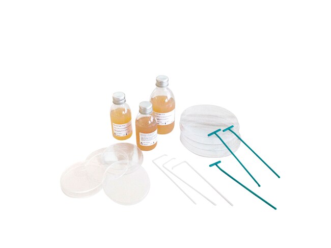 Scharlab Plate Count Agar, PCA, 100ml Flasks | Fisher Scientific