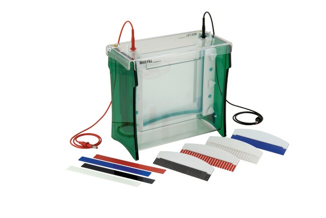 Scie Plas Unidad de electroforesis vertical estándar de doble placa ...