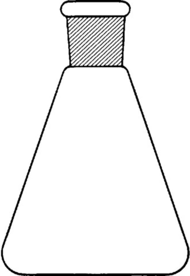 Quickfit™ Borosilicate Glass Erlenmeyer Flask with Quickfit Ground ...